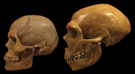 Exploring blood types of Neanderthal and Denisovan individuals – A New ...
