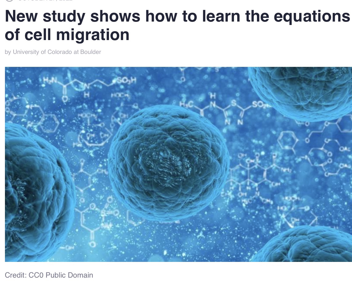 New study shows how to learn the equations of cell migration – A New ...