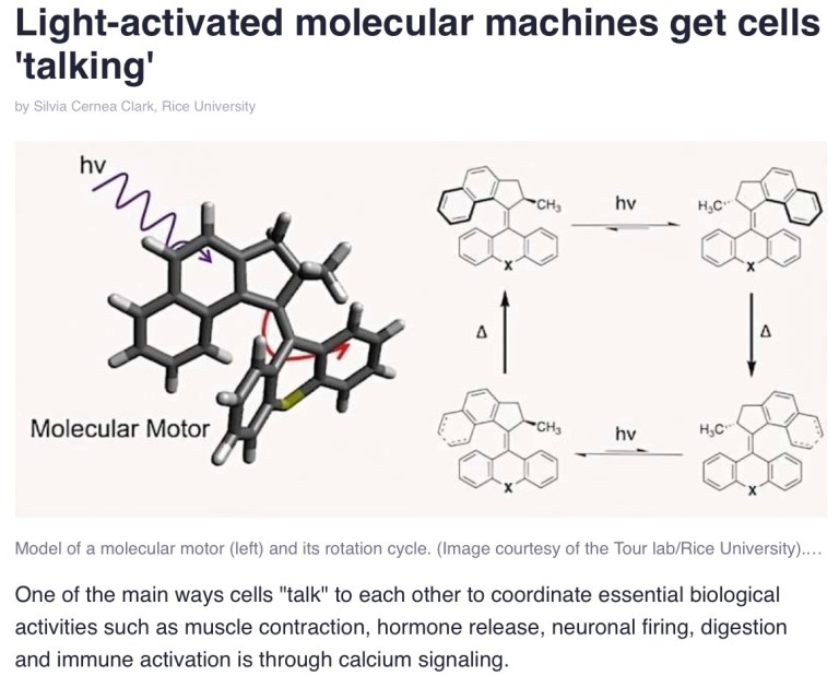 Light-activated molecular machines get cells ‘talking’ – A New Theory ...
