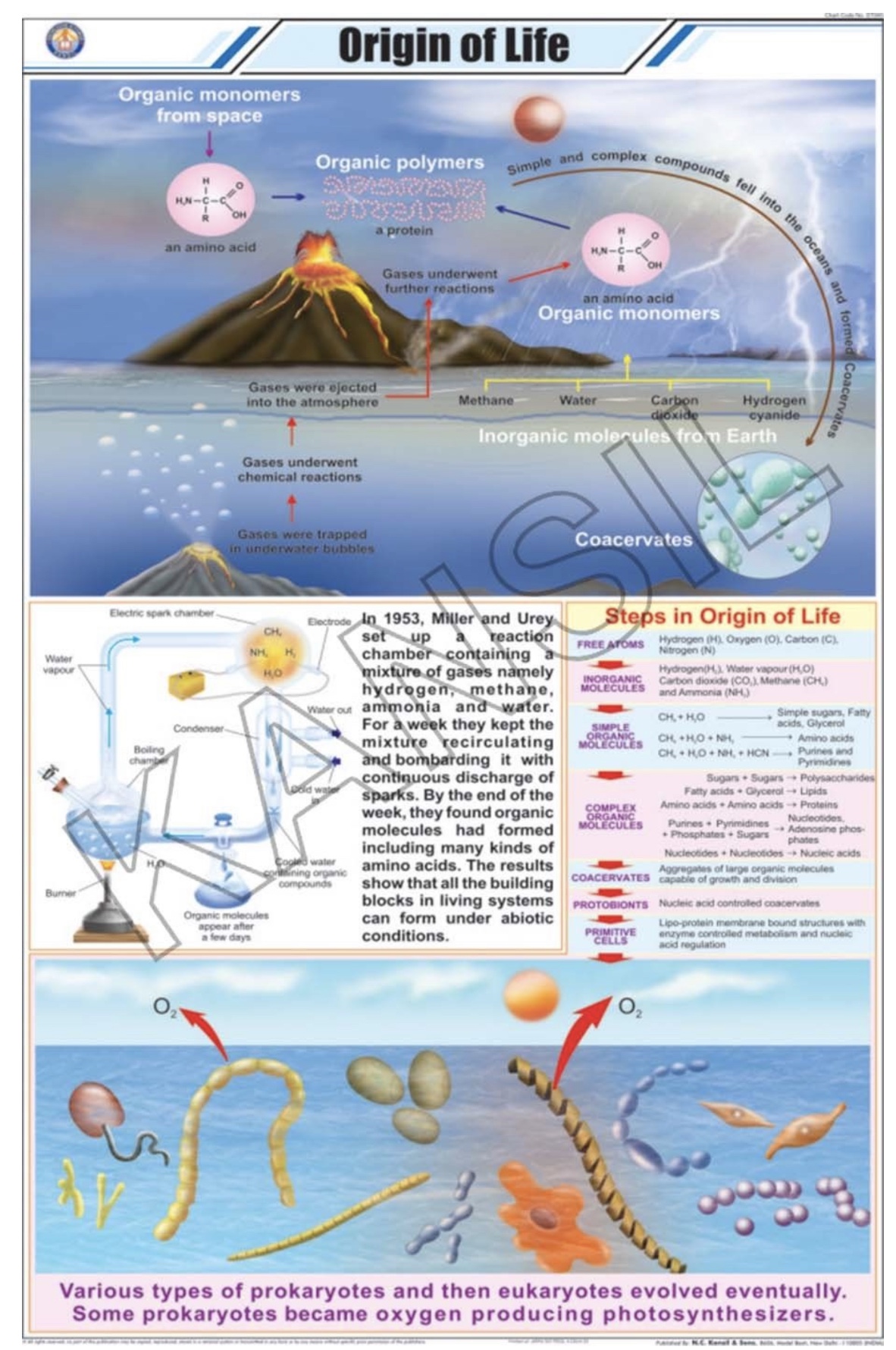 The Genesis Team: An International Multidisciplinary Scientific ...
